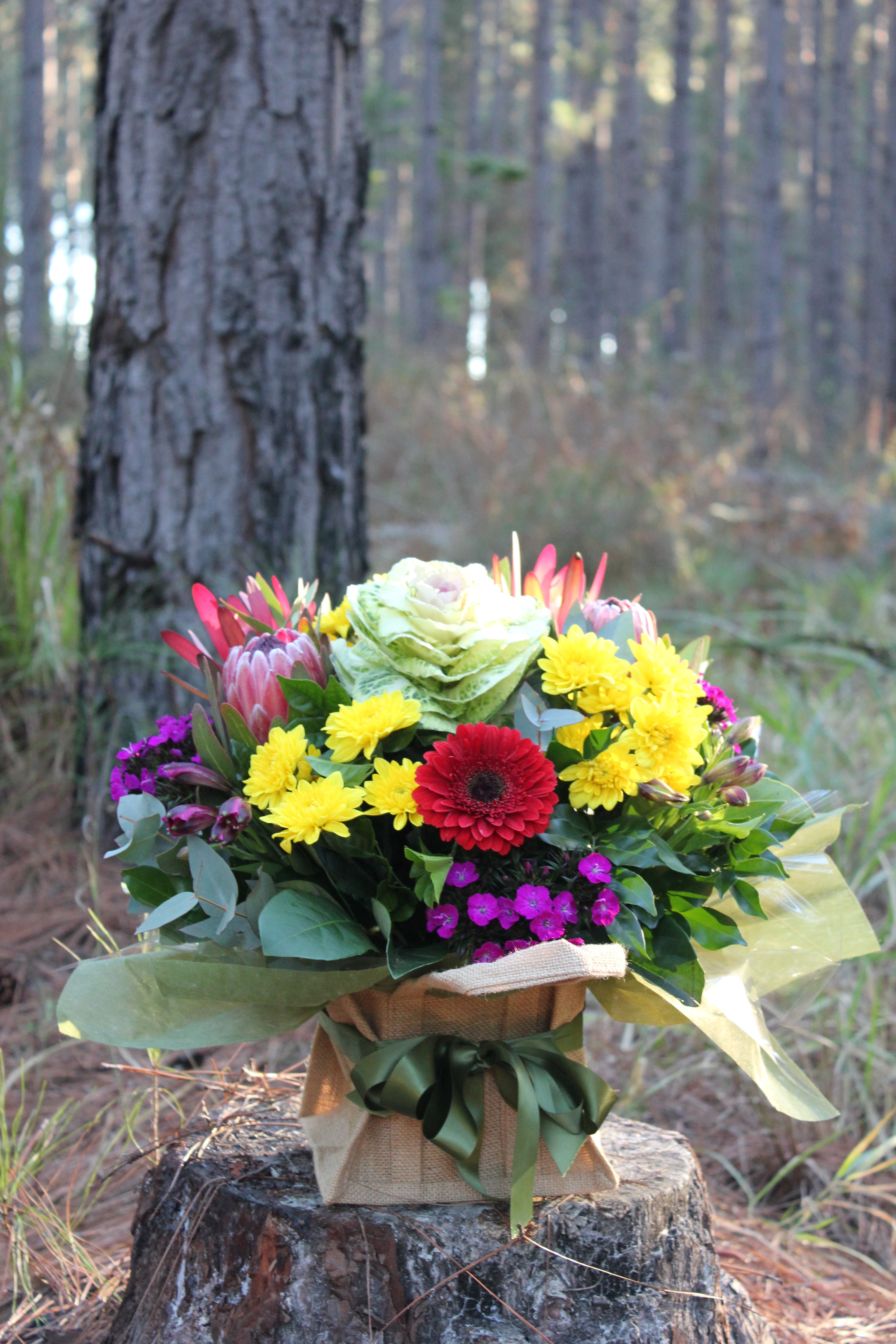 Fawn – Feather&Flower